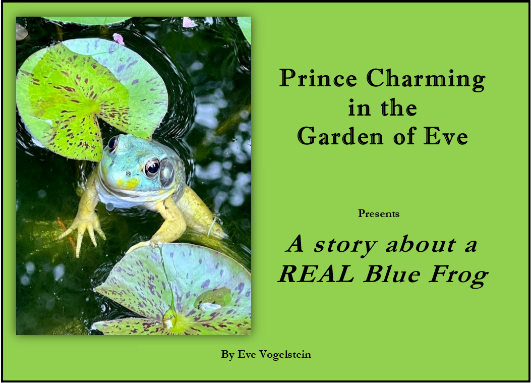 Prince Charming in the Garden of Eve Book – My Garden of Eve